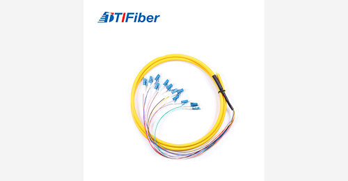 Fiber Optic Cable Pigtail Customized 2 4 8 12 24 32 36 48 144 Port ...