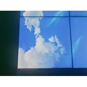 blue sky 40W 600X600 led frameless skylight panel from China ...