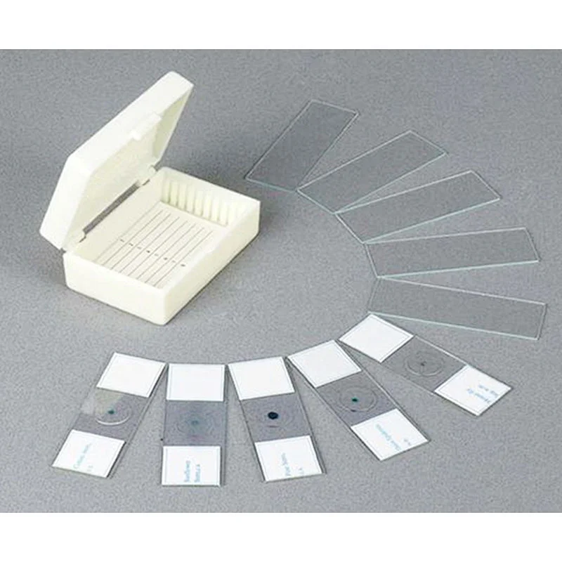 Portaobjetos preparado, juego de 10