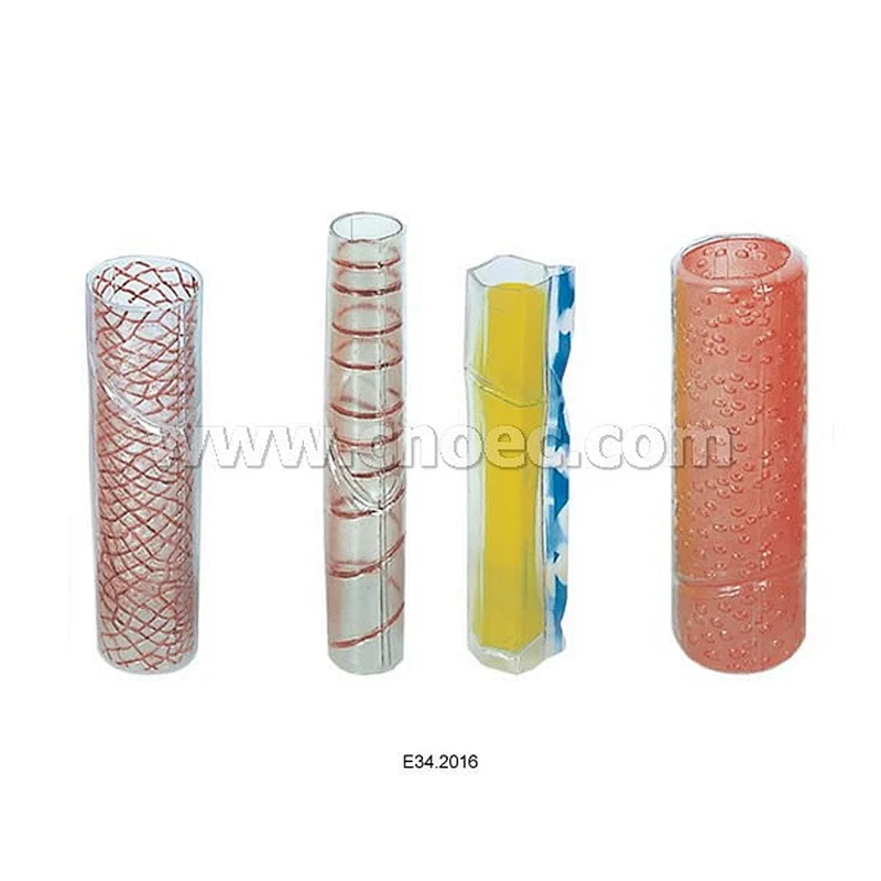 Vessels and Sieve Tube Set