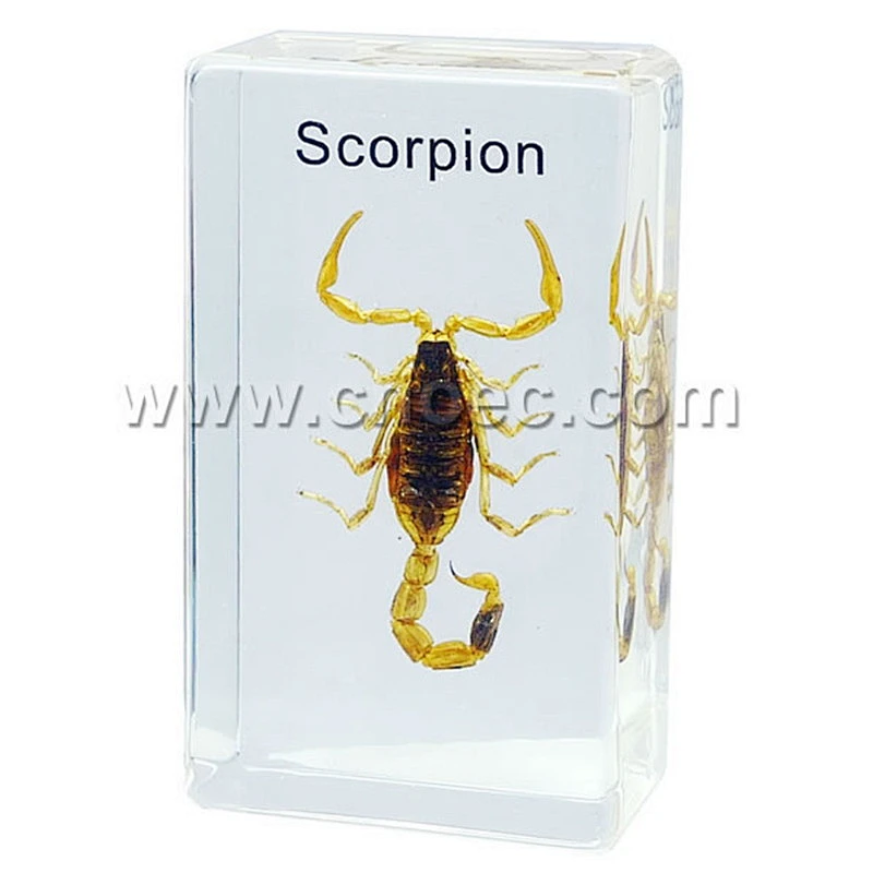 Crystal Specimen, Scorpion