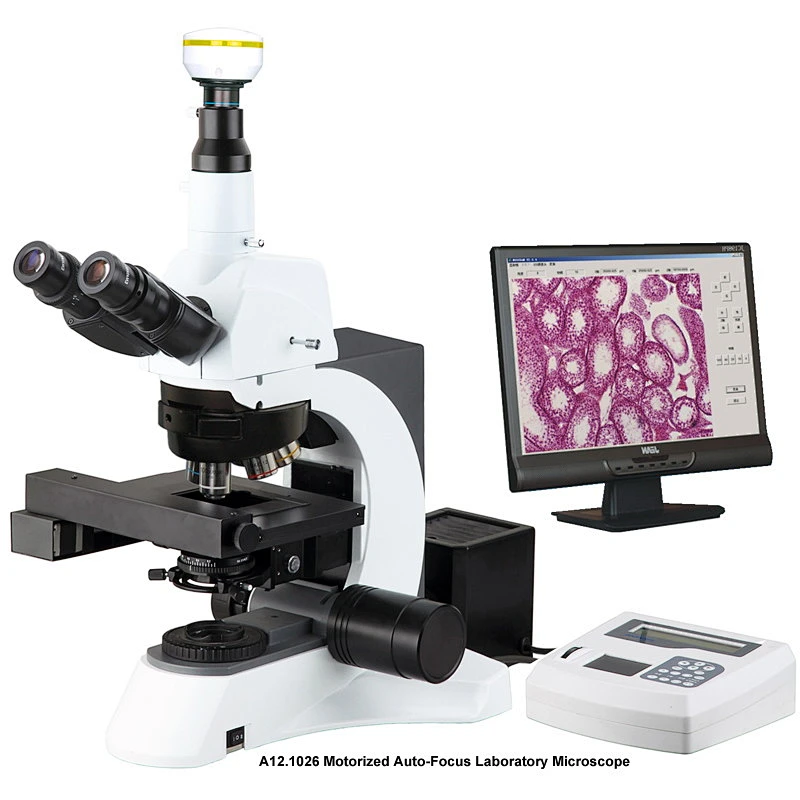 Motorized Auto-Focus Microscope