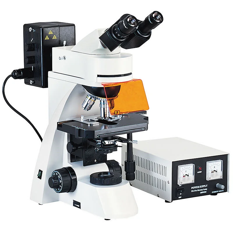 microscopio fluorescente
