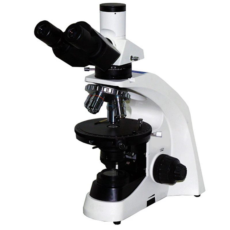 Microscope polarisant