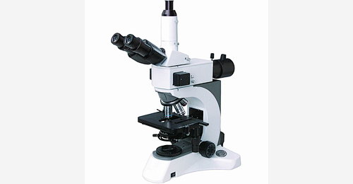 LED Fluorescent Microscope