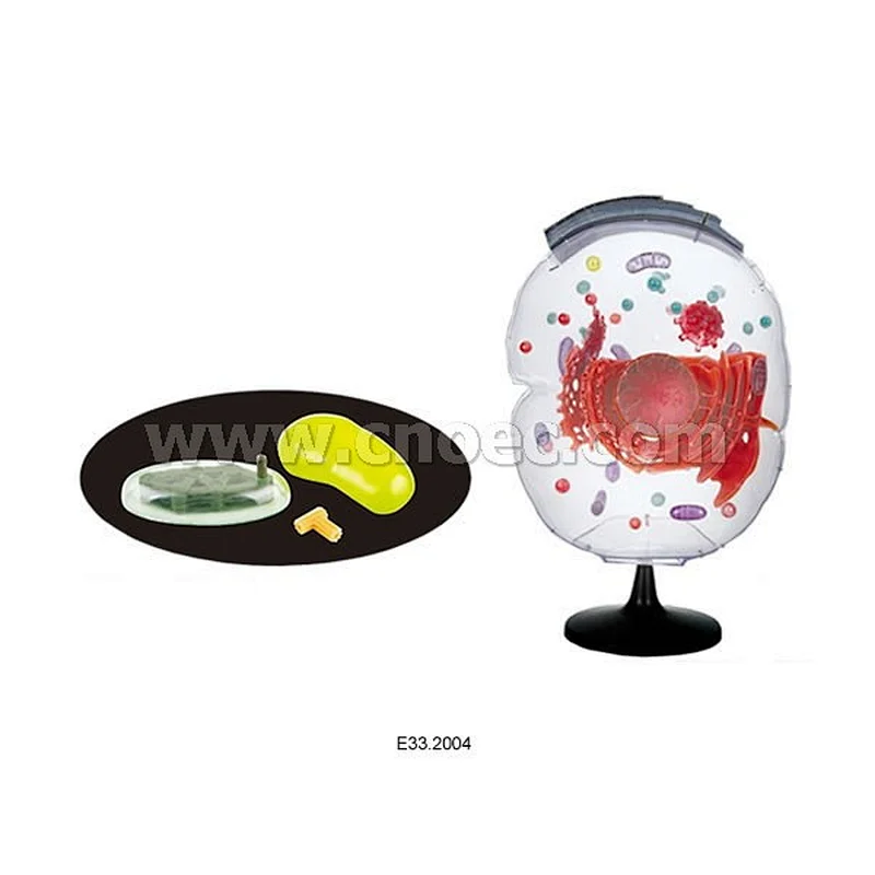 Model of Microstructure Cell