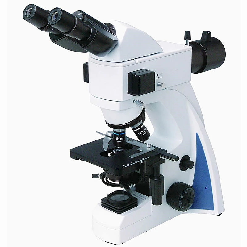 LED Fluorescence Microscope