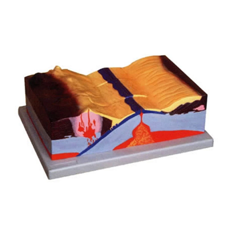 Plate Tectonic Model