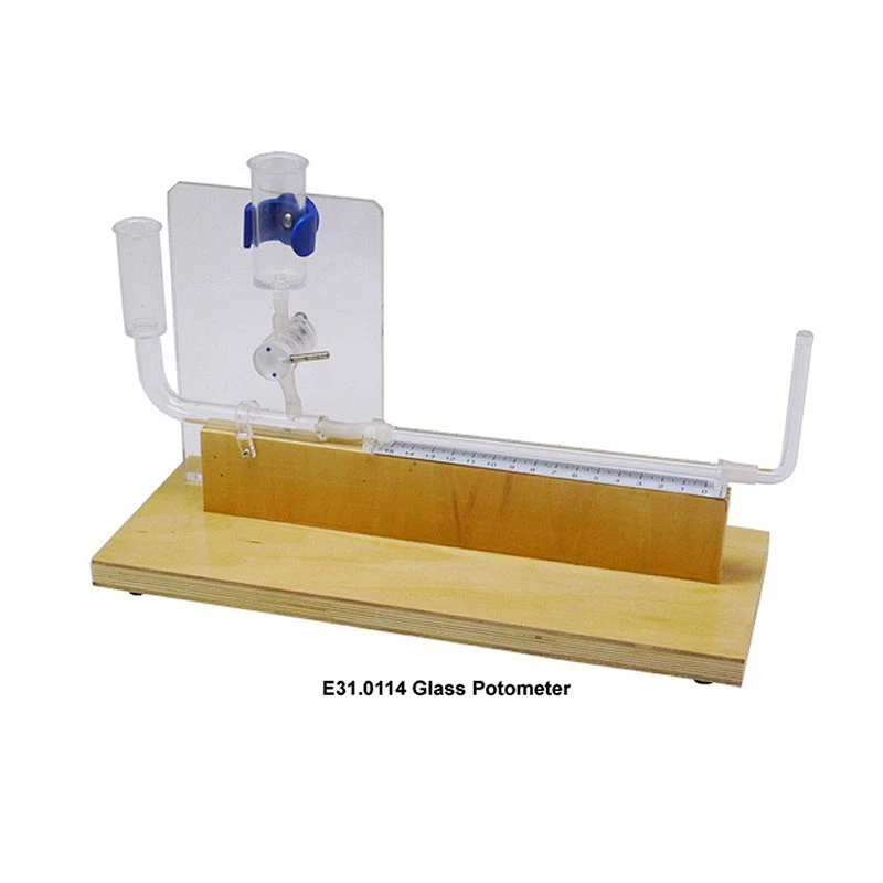 Glass Potometer