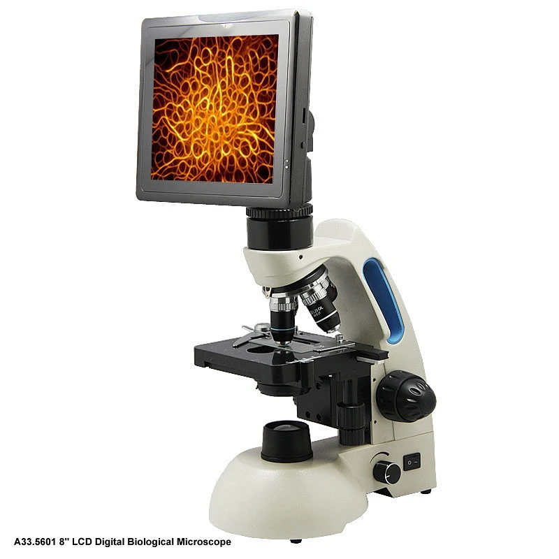 8" LCD Digital Biological Microscope