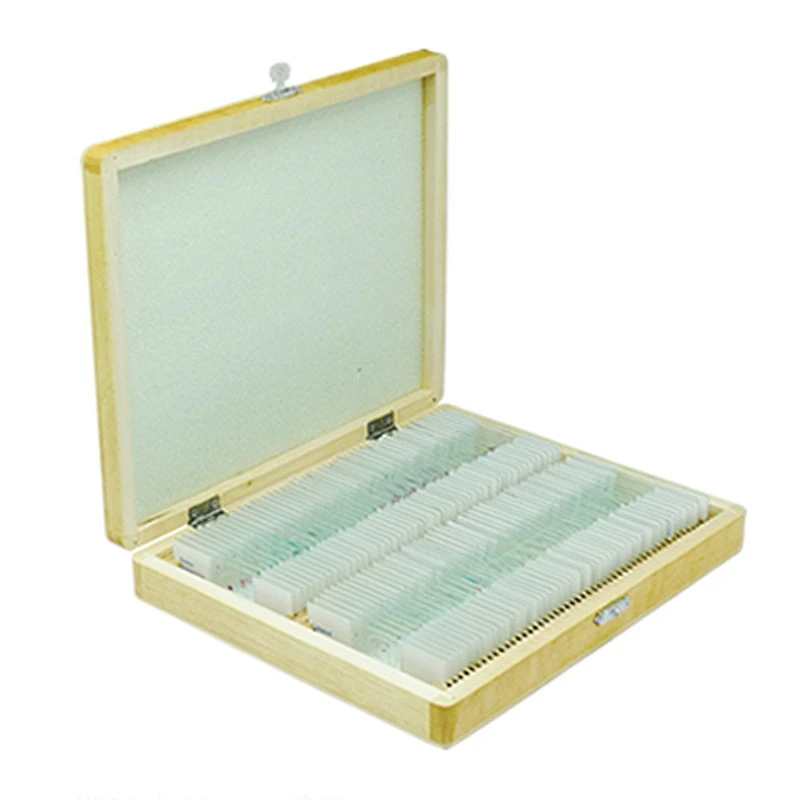 Prepared Slide, Set of 100