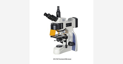 LED Fluorescent Microscope