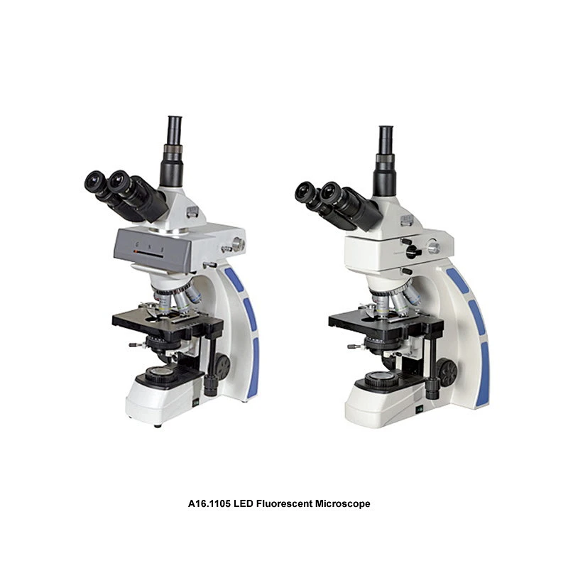 LED Fluorescent Microscope