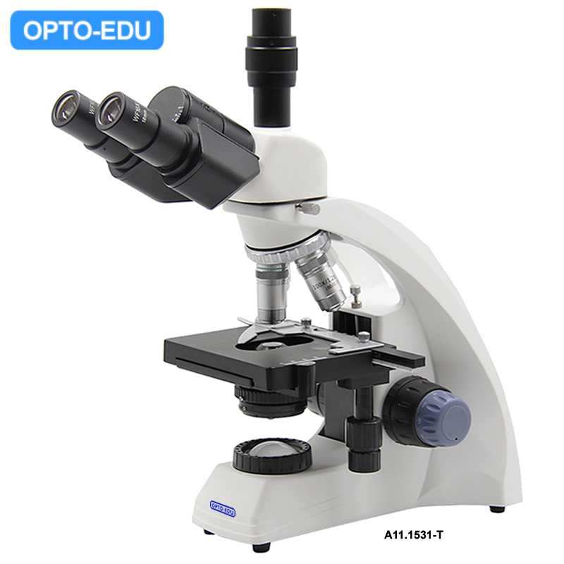 Trinocular Head Biological Microscope