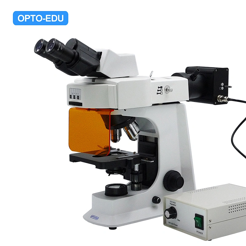 OPTO-EDU A16.2601-LB4 LED-Fluoreszenzmikroskop, Binokular, B, G, U, UV