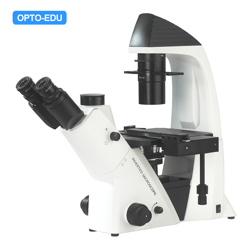 OPTO-EDU A14.2603 Inverted Microscope, Transmit Light