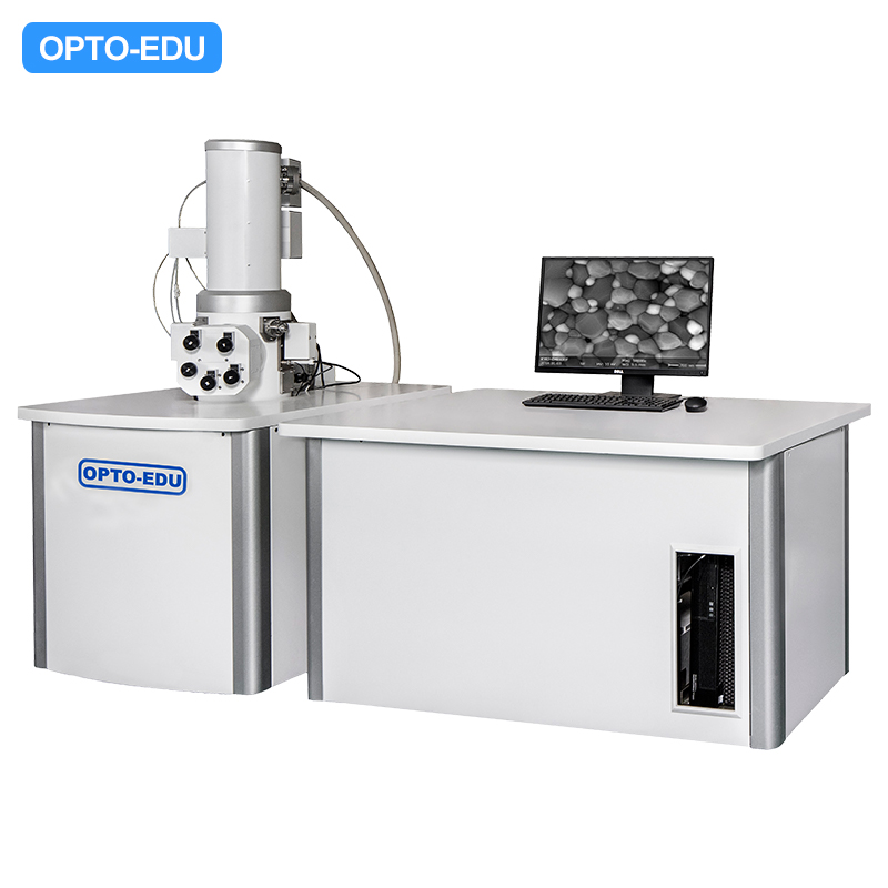 Schottky Field Emission Gun Scanning Electron Microscope, SED+CCD, 8x ...