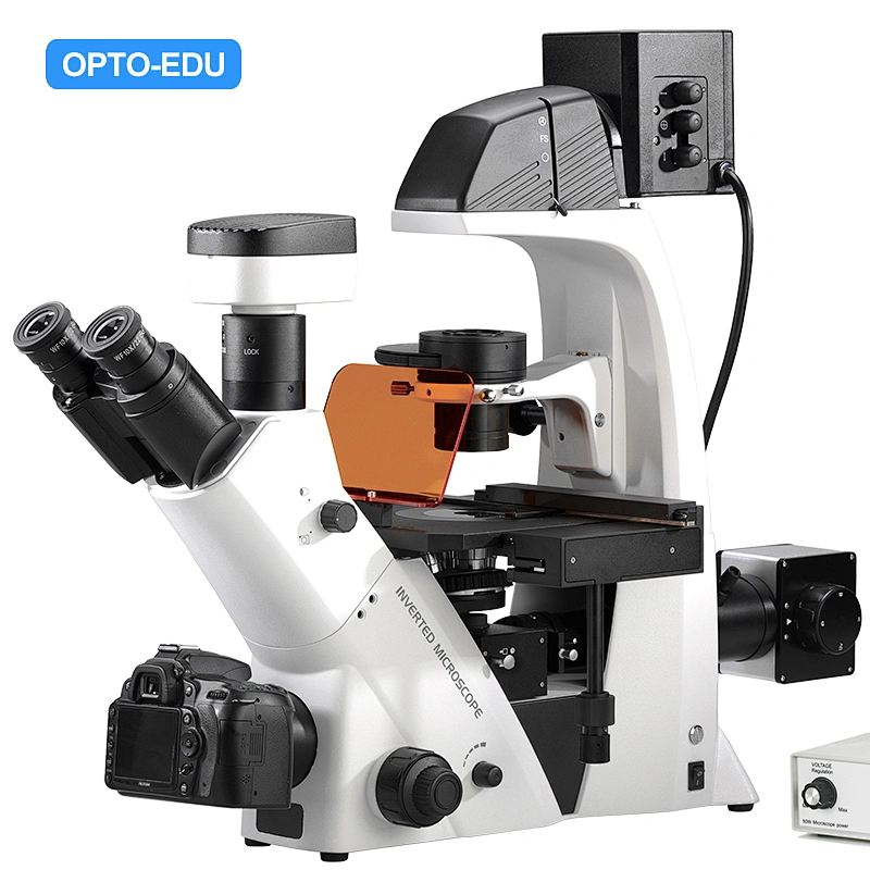 OPTO-EDU A16.2615-L4 Inverted LED Fluorescent Microscope, B,G,V,VU