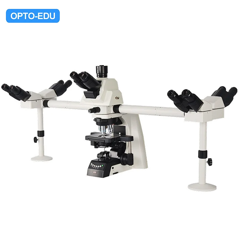 OPTO-EDU A17.1091-5 Multi Viewing Research Laboratory Mikroskop, Semi ...