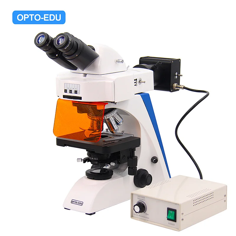 LED Fluorescent Microscope, Semi-APO, Binocular, B/G/U/UV