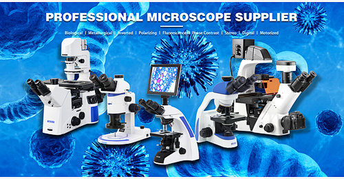 China Biological Microscope, Stereo Microscope, School Microscope ...