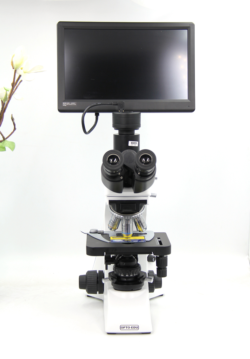 OPTO-EDU A12.2603-T Laboratory Biological Microscope, Trinocular ...