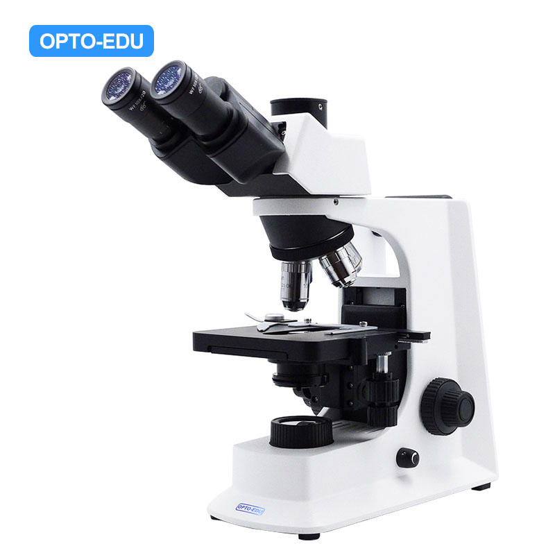 OPTO-EDU A12.2601-D Laboratory Biological Microscope, Binocular ...