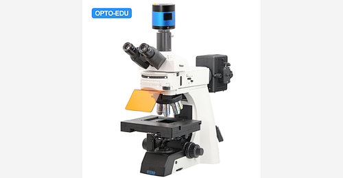 Microscopio fluorescente motorizado OPTO-EDU M16.5820, BF/FL, XYZ ...