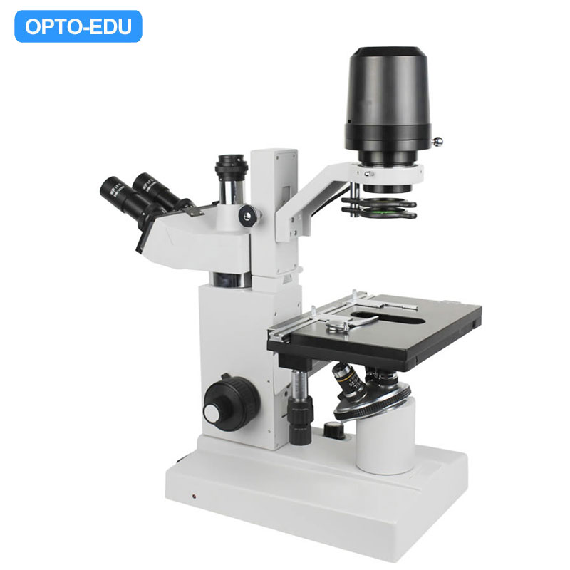 Inverted Microscope, Trinocular from China Manufacturer - Opto-Edu ...