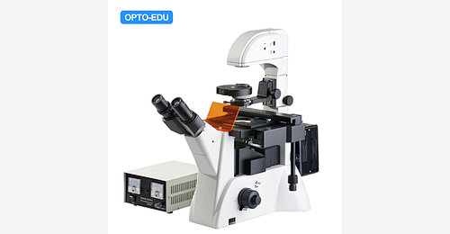 Microscopio fluorescente invertido OPTO-EDU A16.0206