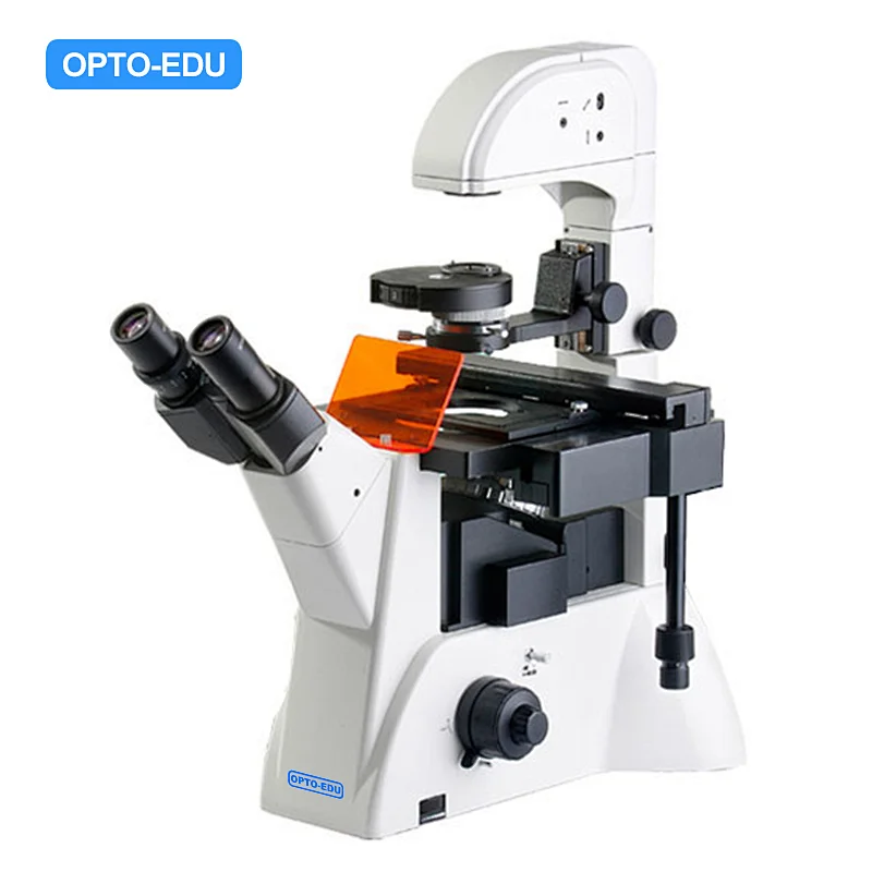 Inverted Flourescent Microscope, Phase Contrast, 5W LED
