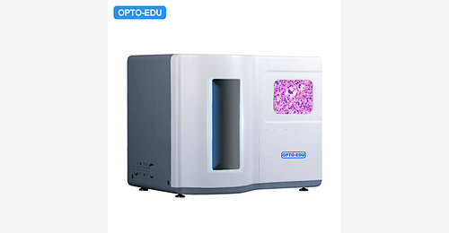 60/120/240/480 Slides, High Resolution Full Auto Microscope Slide ...