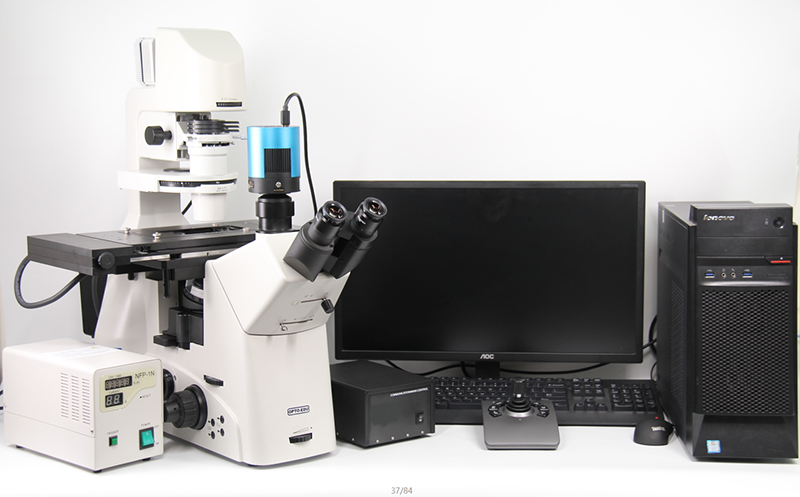 OPTO-EDU A16.1098 Full Motorized Inverted Fluorescent Microscope, Semi ...