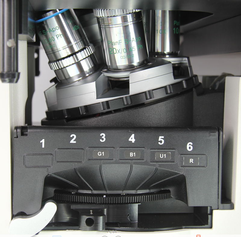 OPTO-EDU A16.1098 Full Motorized Inverted Fluorescent Microscope, Semi ...