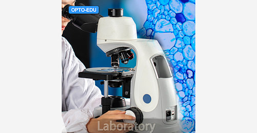 How To Select Laboratory Upright & Inverted Microscope
