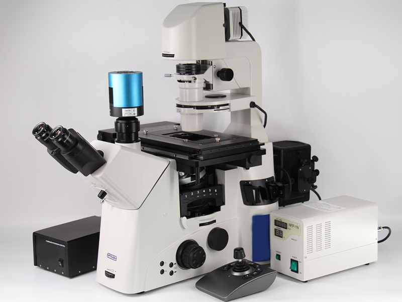 OPTO-EDU A16.1098 Full Motorized Inverted Fluorescent Microscope, Semi ...