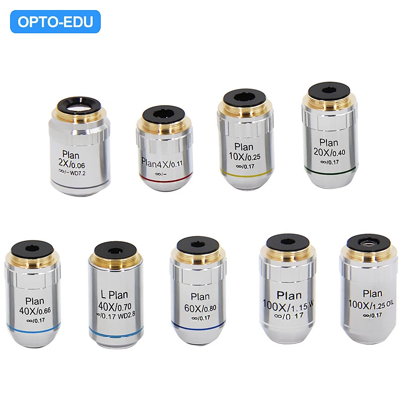 Infinity Plan Objective