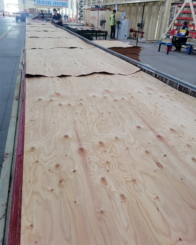 12M LVL beam , lvl beam , lvl beams Supplier