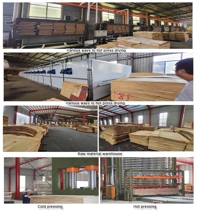 LVL , lvl, structural laminated veneer lumber