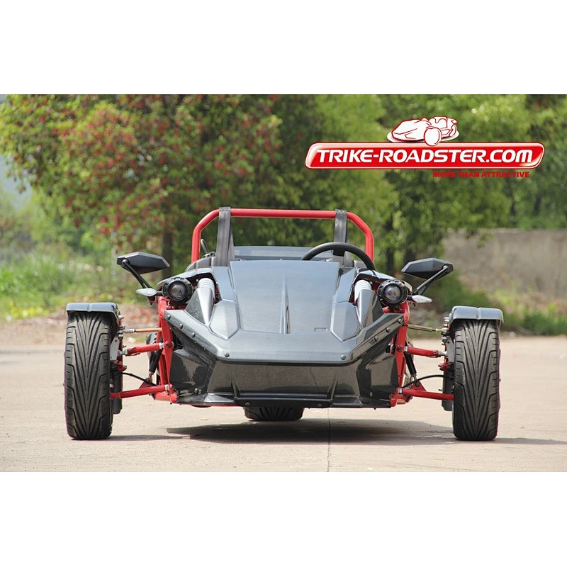 Best Quality 250cc Trike Motorcycle with Chain Drive Transmission ...