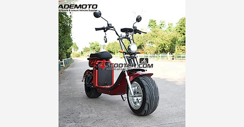 Custom electric scooter manufacturer – Wiztem Industry Company