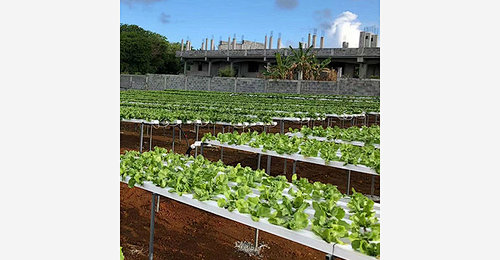 Horizontal Nft System - , for Sale – G AND N FORTUNE LIMITED