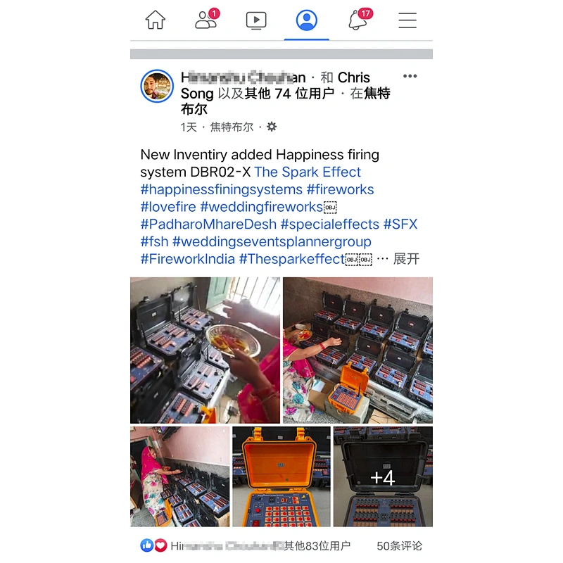 Happiness 12 Cues Wireless Remote Control Fireworks Firing System With ...