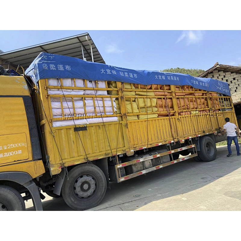 Happiness 12 Cues Wireless Remote Control Fireworks Firing System With ...