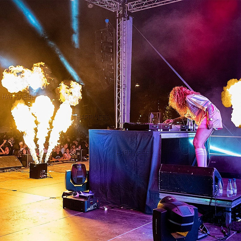 Flame thrower Flame effects Flame projector Dmx fire Flame effect ...