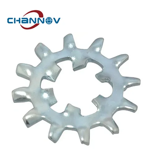 DIN 6797A SS External Tooth Washer Satin-Steel Toothed Washers