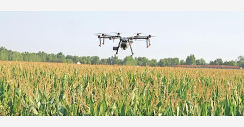 Corn management, drones show their skills - RDRONEGUY TECHNOLOGY