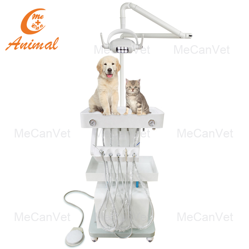 Veterinary Dental Unit | Dental Equipment Supplier