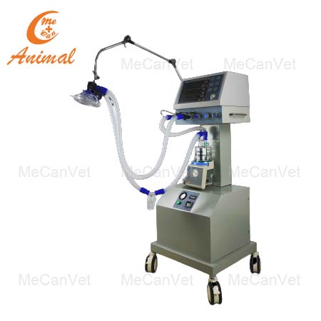 Animal Anesthesia Ventilator | China Supplier