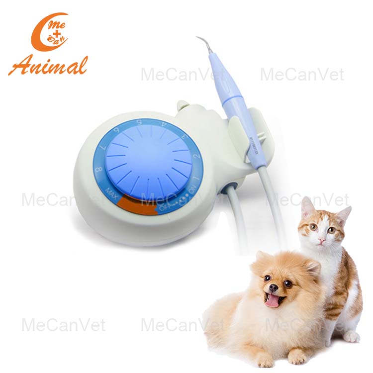 Ultrasonic Scaler Veterinary | Ultrasonic Dental Scaler